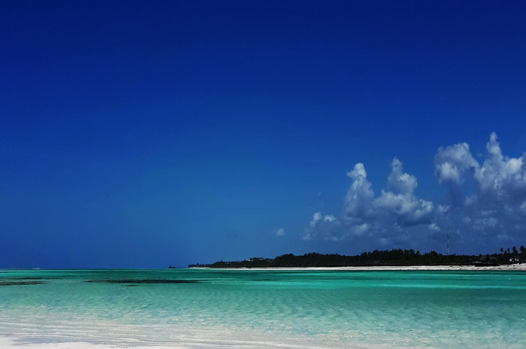 ZANZIBAR, a paradise in the Indian Ocean - Natania Travel