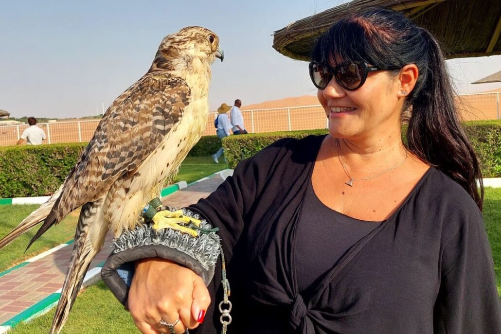 Dubai Desert Safari, feel the Arabian adventure - Natania Travel