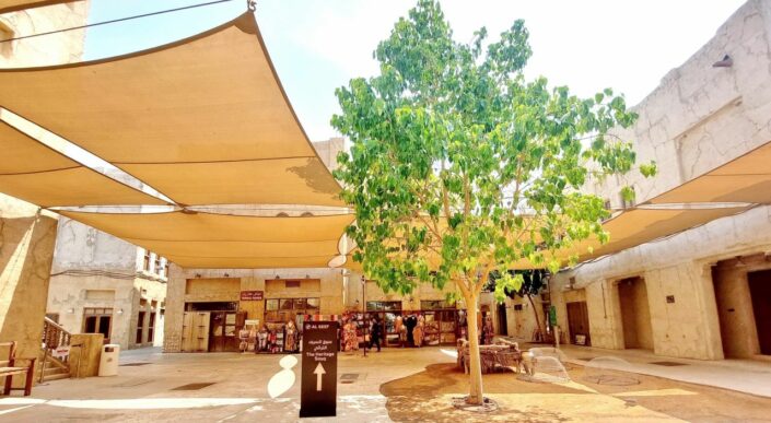 Al Seef and story about Old Dubai - Natania Travel