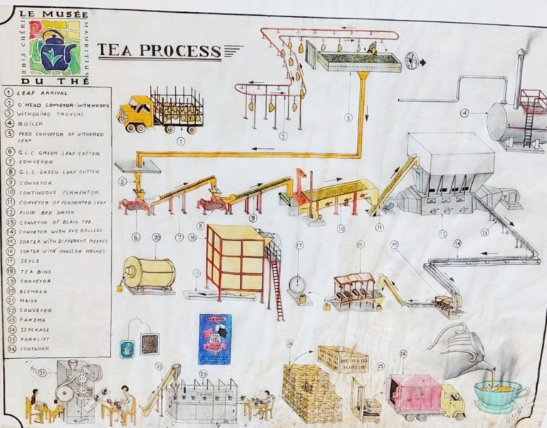 Bois Chéri tea plantation and Mauritius rum - Natania Travel