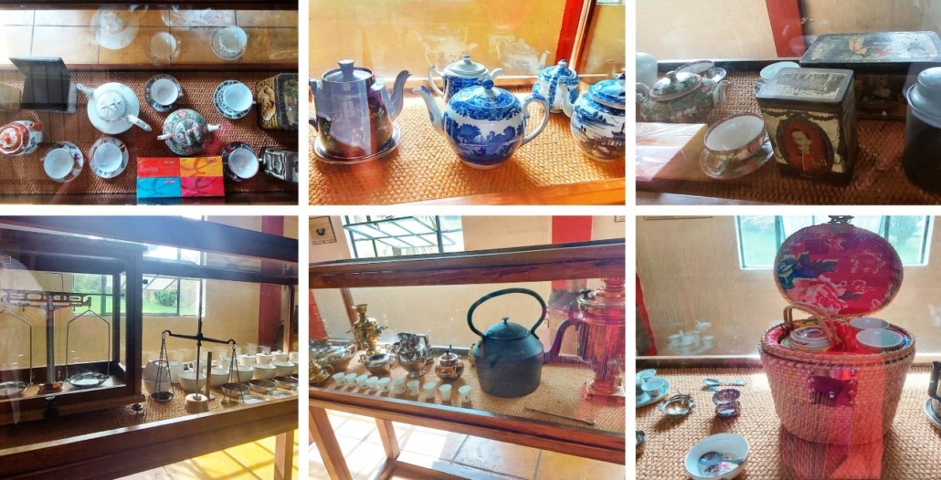 Bois Chéri tea plantation and Mauritius rum - Natania Travel