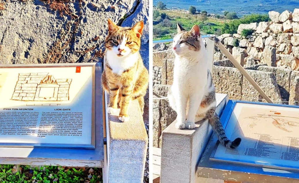 Mikena, srce mikenskog sveta - Natania Travel